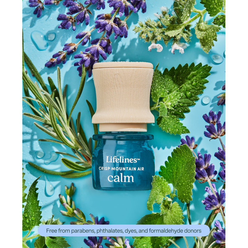 Lifelines Grounding Stones - Motion Fidget Collection plus Essential Oil Blend & Reviews | Wayfair